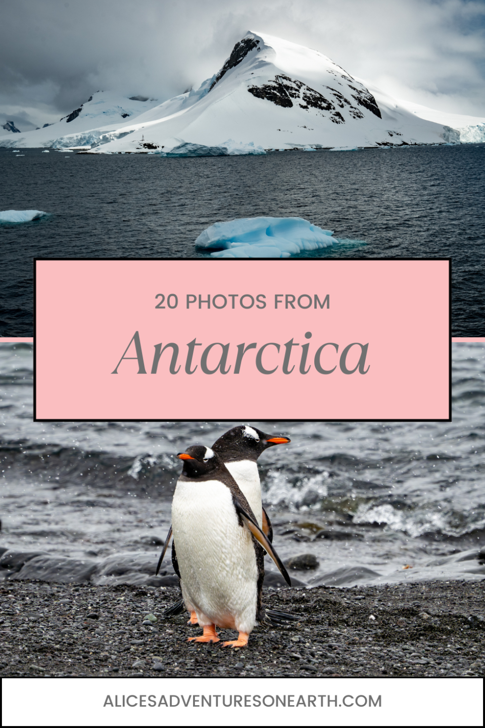 20 Photos That Will Inspire You To Visit Antarctica