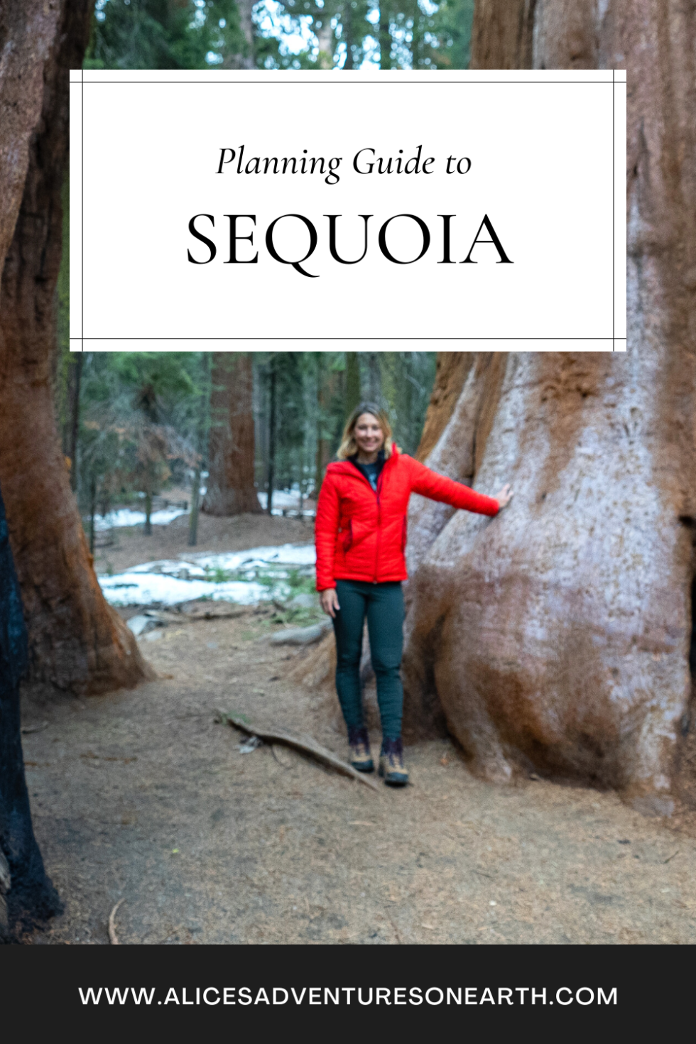 Sequoia National Park Planning Guide
