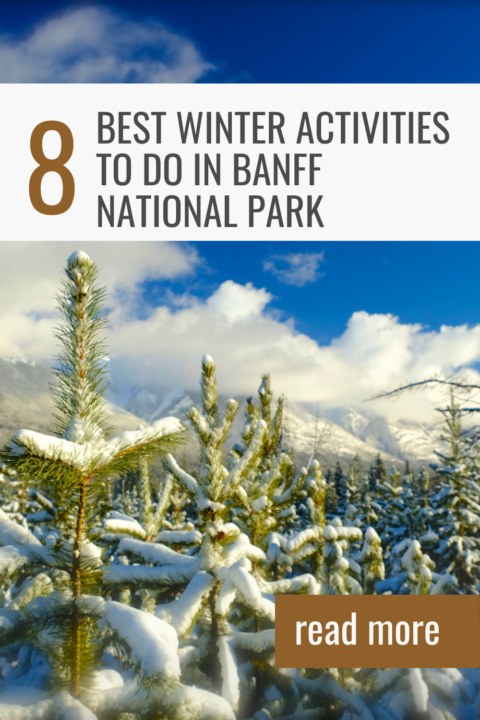 8 Winter Activities to Do in Banff National Park