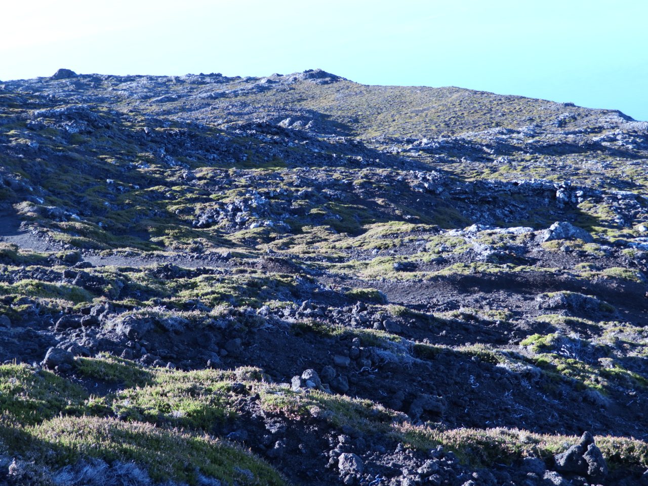 Visiting Pico Island: Volcanoes, Wine, and Everything Fine