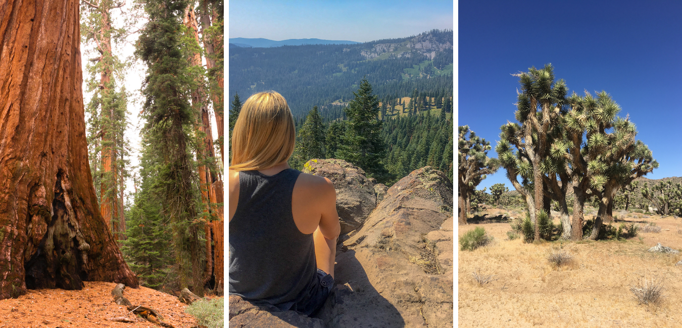 The Complete Guide to All Nine California National Parks