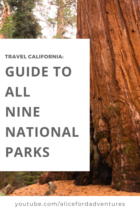 The Complete Guide to All Nine California National Parks