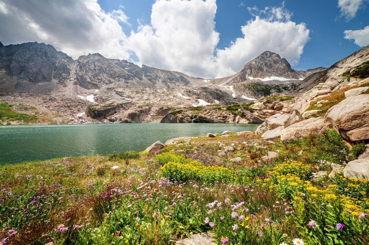 Best Spring Hikes for Wildflowers Around the U.S.