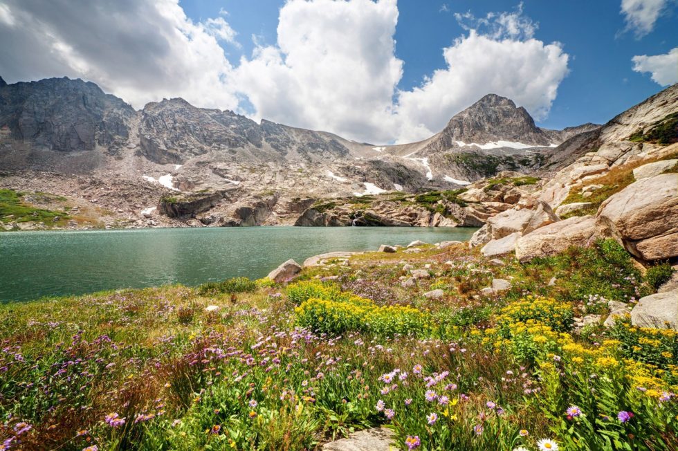 Best Spring Hikes for Wildflowers Around the U.S.